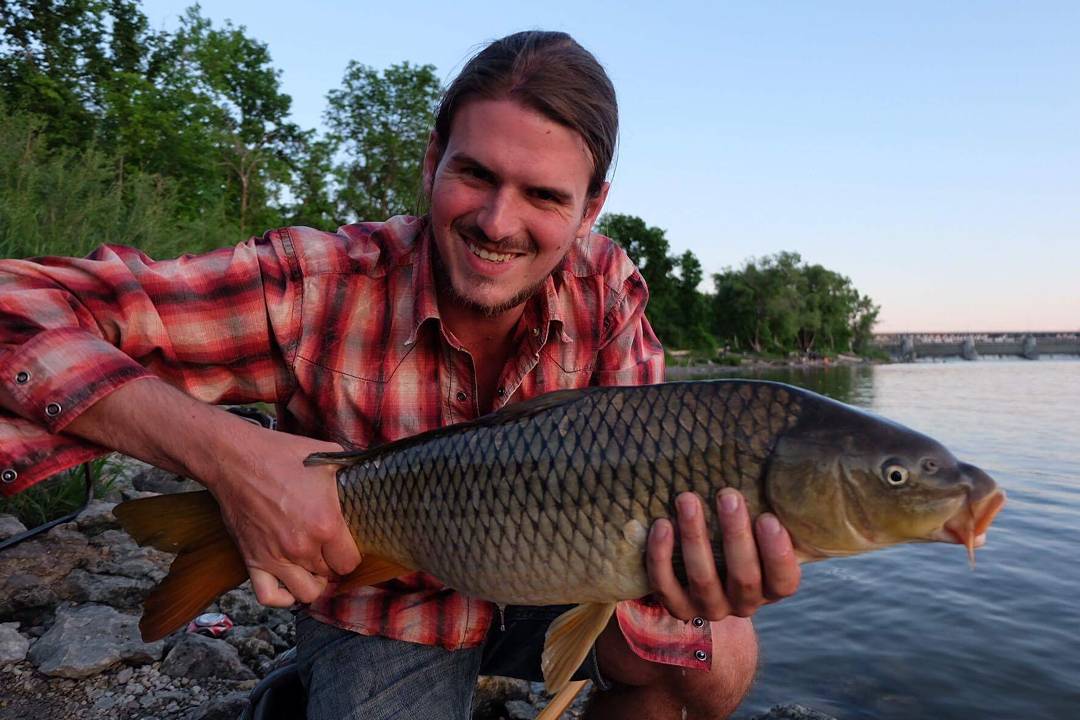 Catching the common carp – If You Ain't Fishin', You Ain't Livin'!
