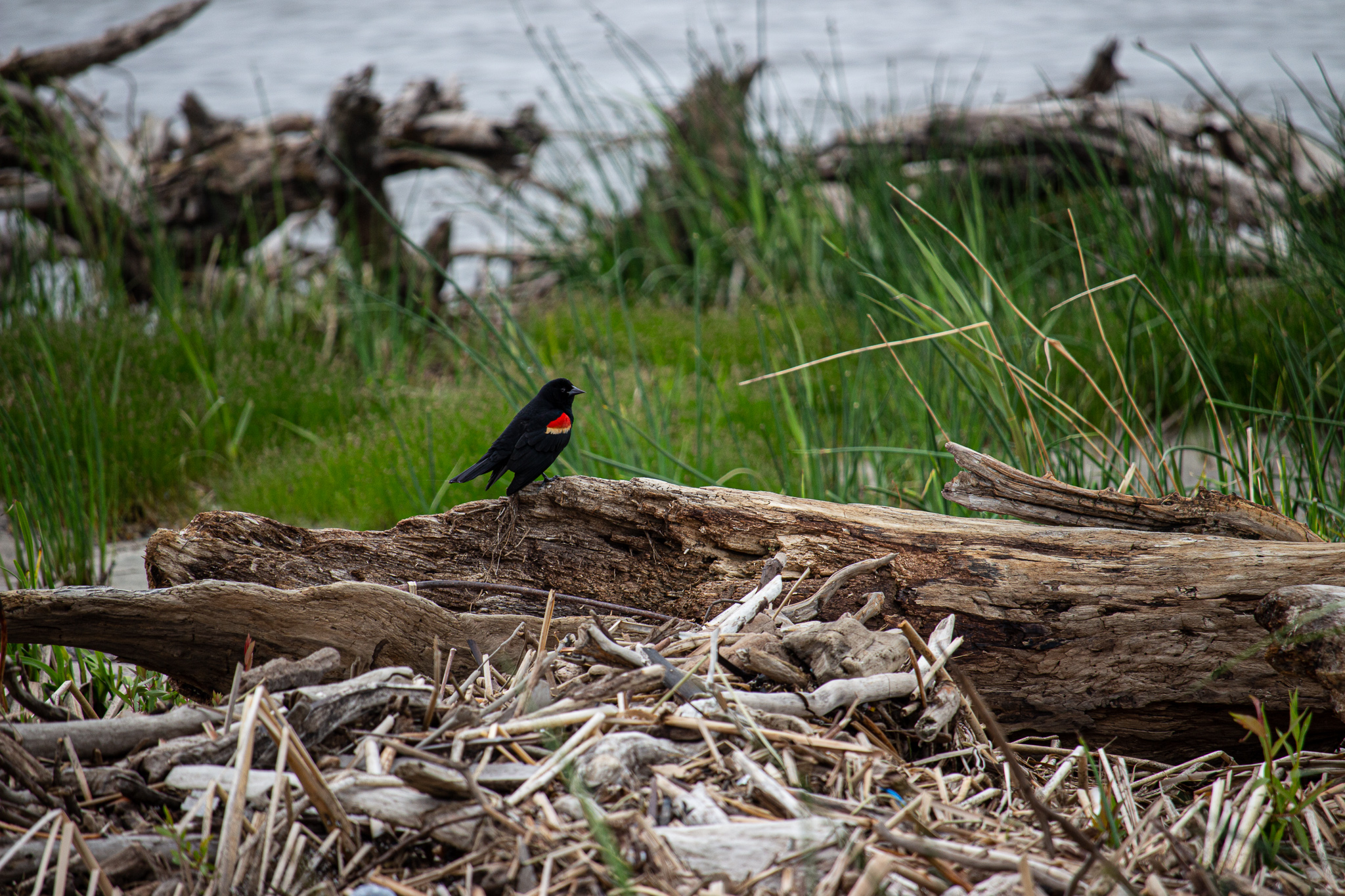 Patricia Beach Manitoba: a photo essay – If You Ain't Fishin', You Ain ...